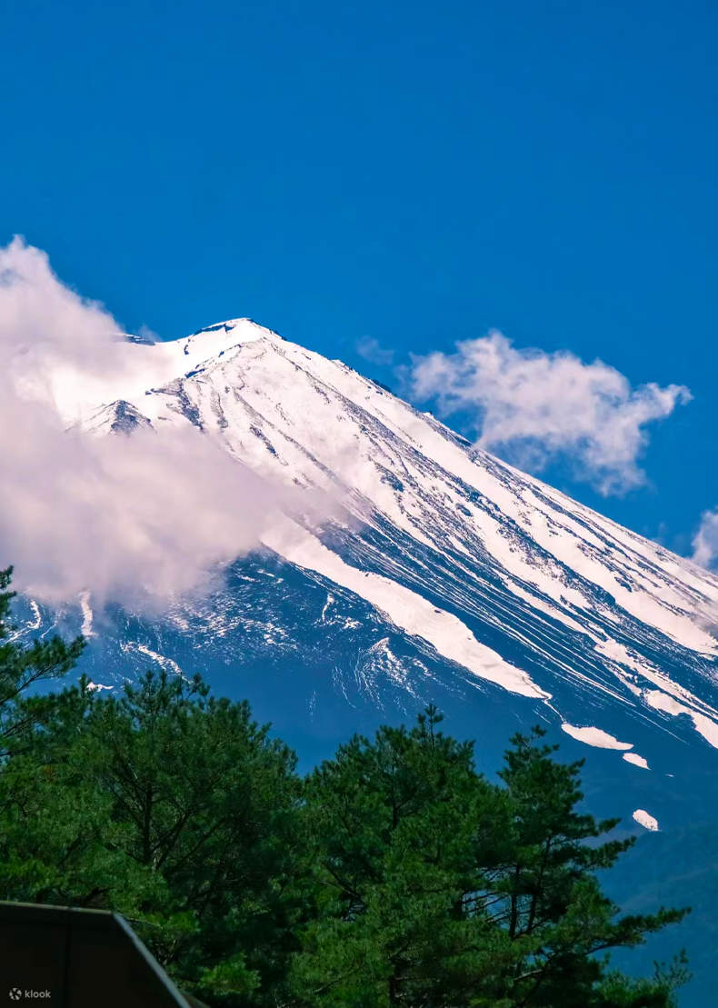 [Mount Fuji Swan Boat or Hot Spring Tour] Naiki bot angsa di Stesen ke ...
